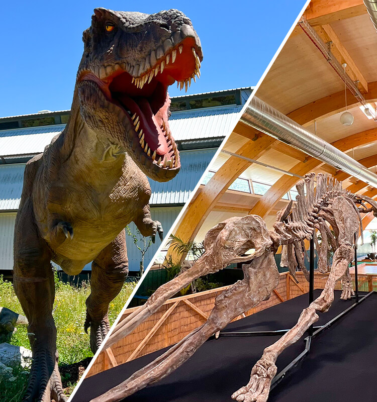 Entrées au parc Dinoworld pour 1 ou 2 personnes - Realdeals.ch