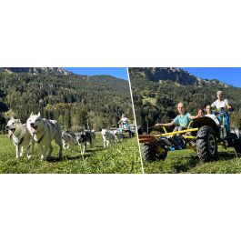 Cani'Kart Aventure à Champéry et rencontre avec les Huskies pour 2 ...