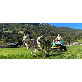 Cani'Kart Aventure à Champéry et rencontre avec les Huskies pour 2 ...
